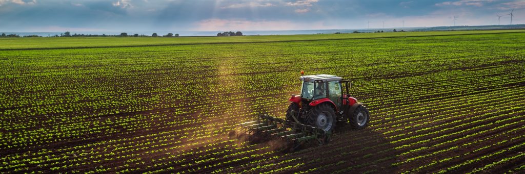 Créer une entreprise agricole : ce que vous devez savoir