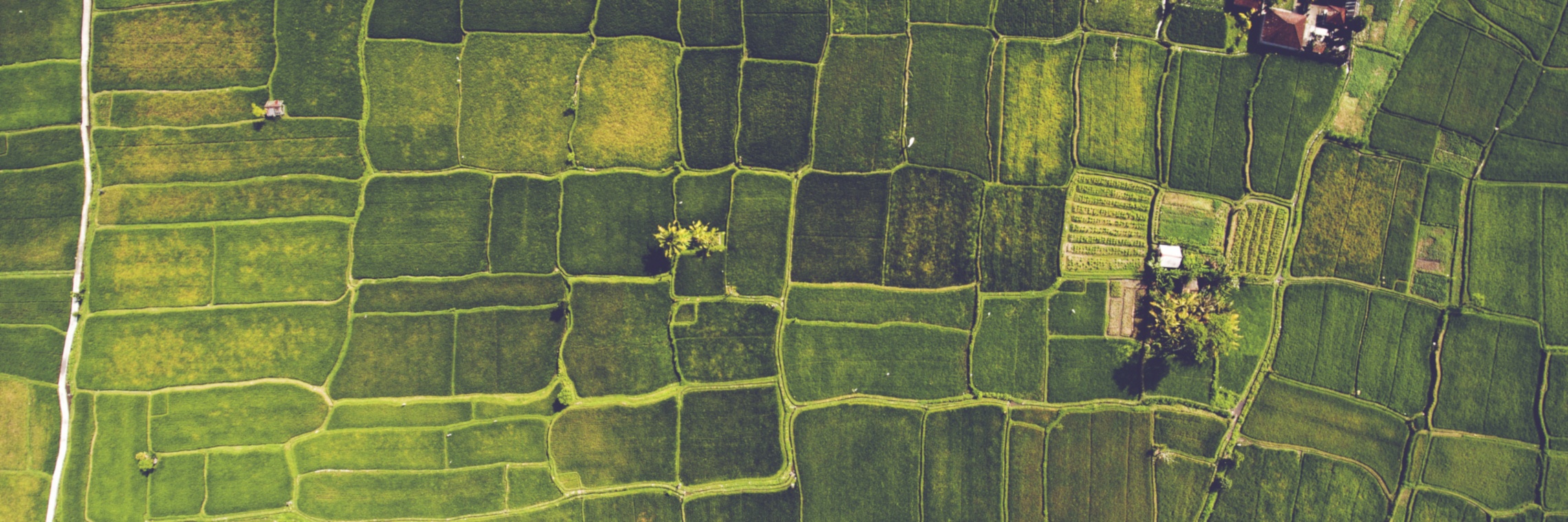 Le bail rural agricole : guide complet 2020