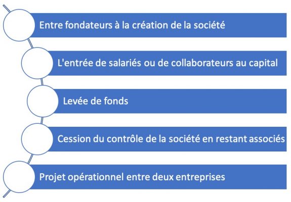 Pacte D’Actionnaires Sas Modèle – EHUA