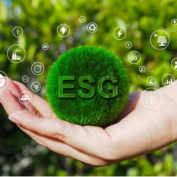 Enjeux RSE d'une entreprise : les 4 principaux à connaître